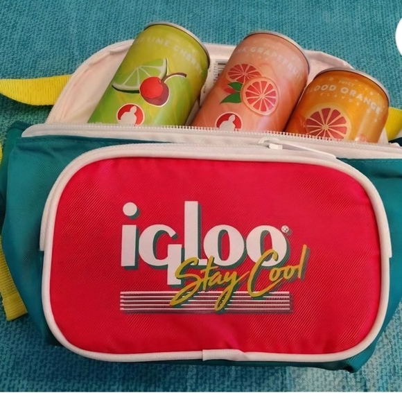Igloo | Other | Retro 8s 90s Igloo Cooler Fanny Pack Neon Belt Bag ...